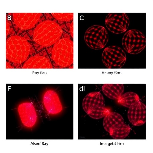 FSU Chemists Pioneer Advanced X-Ray Material, Revolutionizing Thin Film ...