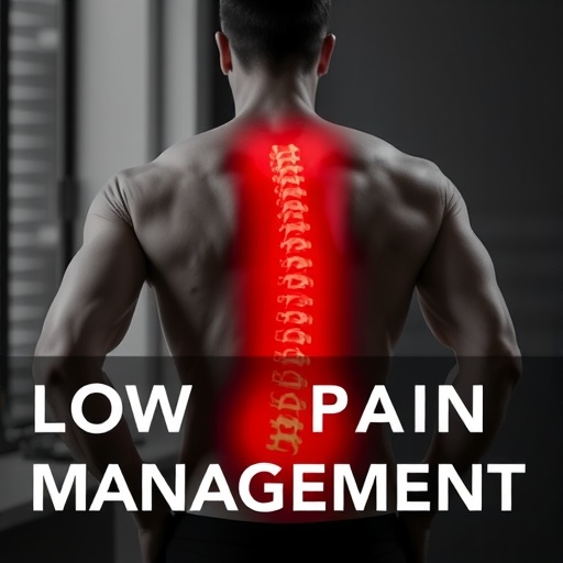 Chiropractic Training: Barriers to Low Back Pain Management – BioTechGrid